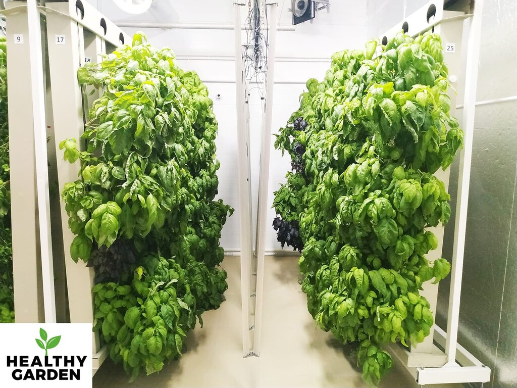 Tarım makineleri, ekipmanlar Городские агротехнологии Healthy Garden, Cheboksary, foto