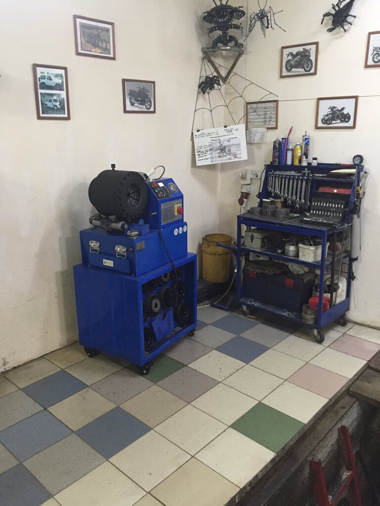Kollar ve hortumlar Remzona Rvd, Yevpatorya, foto