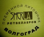 Pitomnik rotveylerov Sherla (ulitsa Gorokhovtsev No:4, Volgograd), evcil hayvan yetiştiricileri  Volgograd'dan