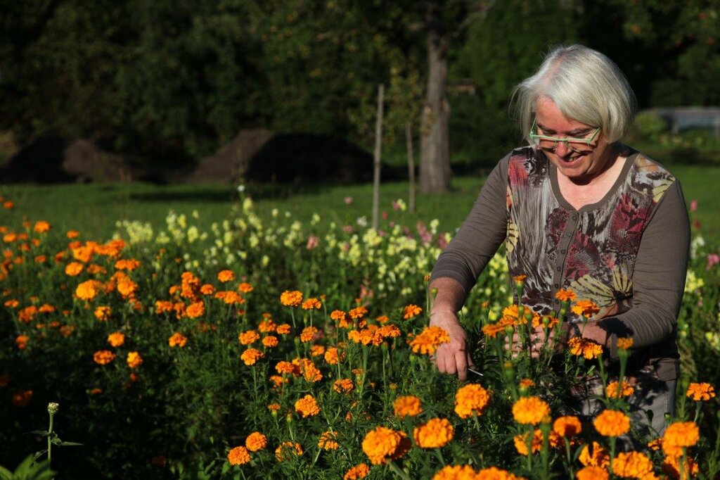 Çiçek teslimatı Blumen-Gärtnerei Müller, Stuttgart, foto