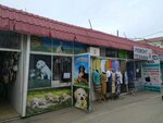 Дружок (улица Адмирала Октябрьского No:20), petshop  Sevastopol'dan