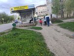 Садовый рай (ulitsa Petra Alekseyeva No:10), bahçecilik mağazaları  Gagarin'den