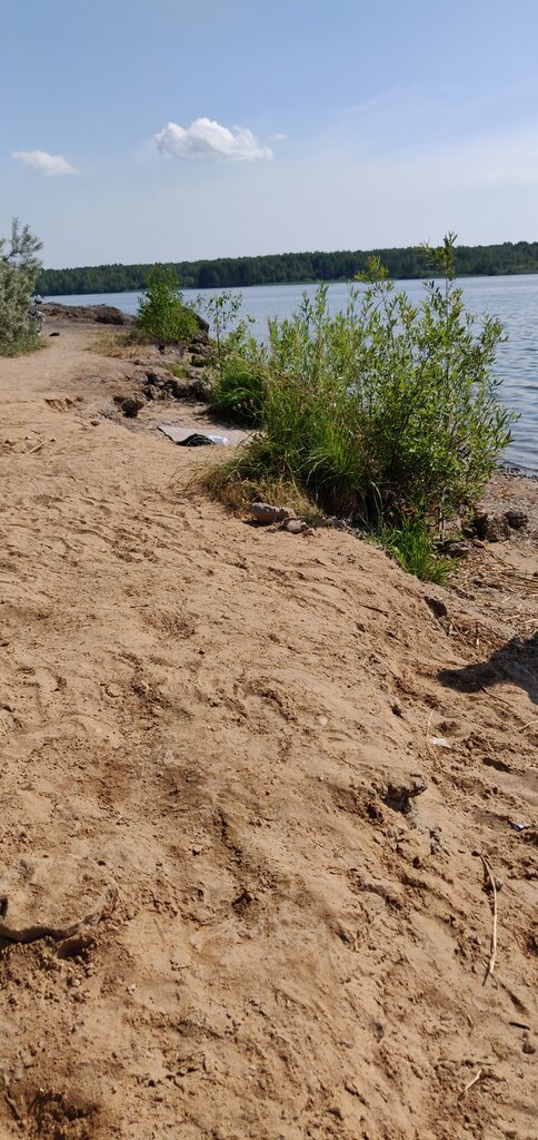 i̇skele Jetty , Vologodskaya oblastı, foto