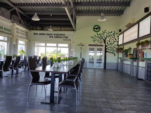Kafe Oranzhereya, Kalujskaya oblastı, foto