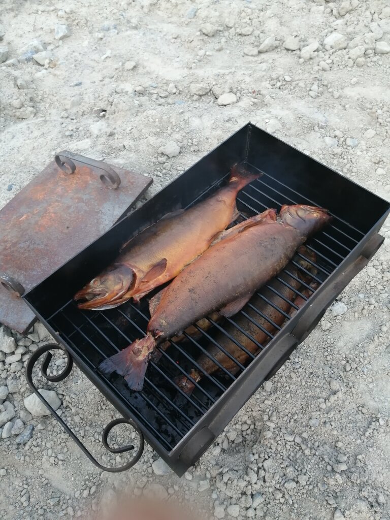 Tatil köyleri Kola peninsula and Tersky coast, rest-fishing, Murmanskaya oblastı, foto