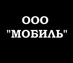 Mobil' (Moskovskoe Highway No:103Бс3), araç muayene istasyonları  Vishniy Volochek'ten