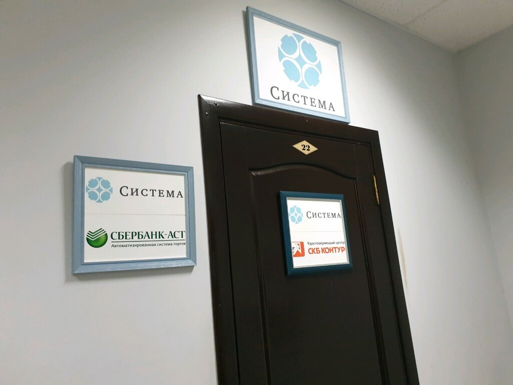 Müzayede firmaları Limited liability company System, Perm, foto