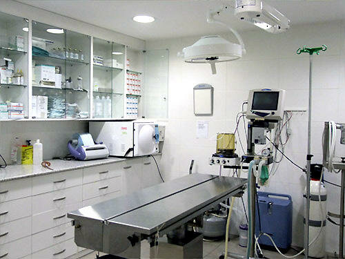 Veteriner klinikleri Hospital Veterinari De L'urgell, Katalonya, foto