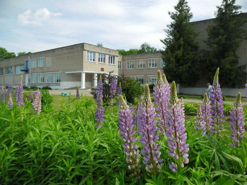 Ortaokul Грицевичская средняя школа, Minskaya oblastı, foto