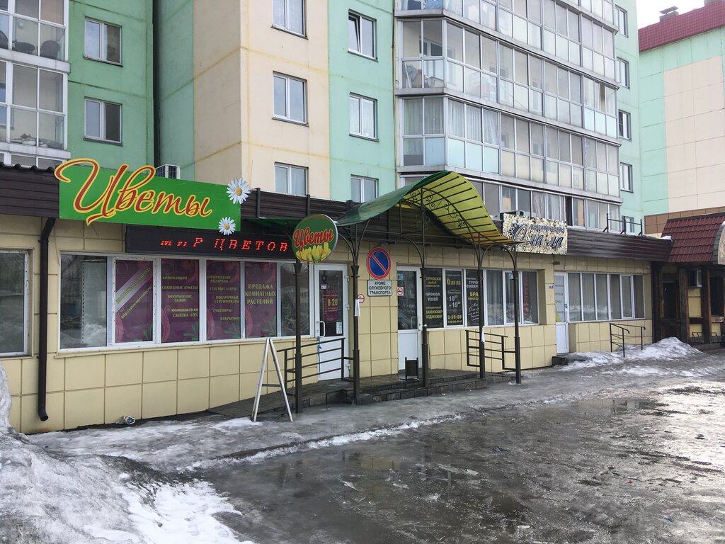 Çiçekçiler Mir tsvetov, salon, Mejdureçensk, foto