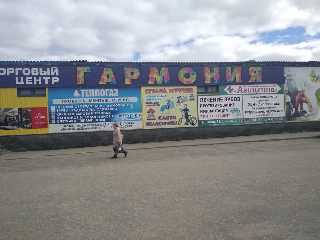 Çocuk oyunları ve oyuncakları Страна игрушек, Zavoljye, foto