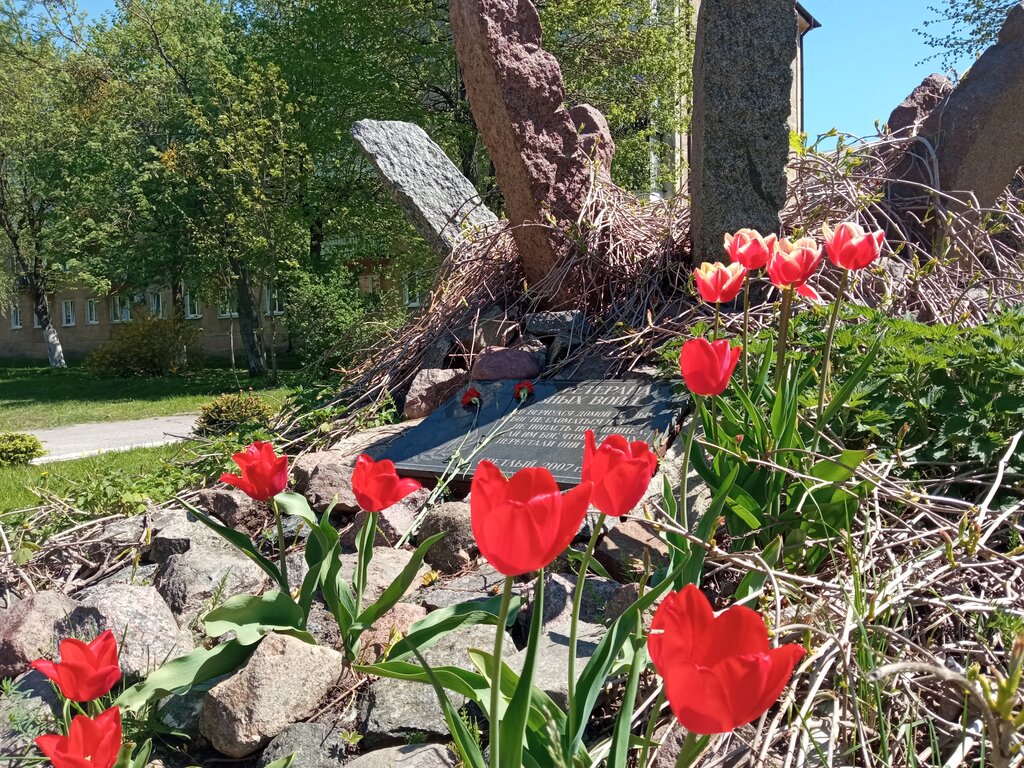 Kültür ve eğlence parkları сад Памяти, Svetly, foto