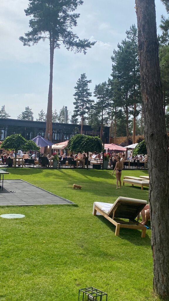 Yüzme havuzları Queen Country Club, Kiev Bölgesi, foto