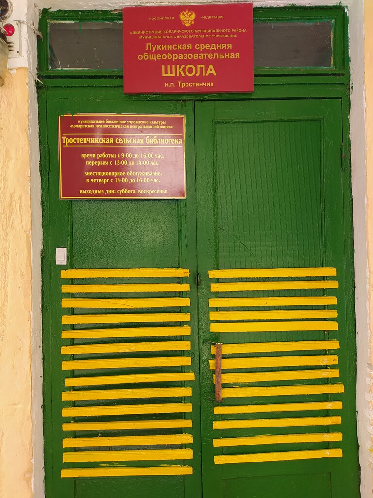 Ortaokul Школа, Brianskaya oblastı, foto