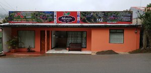 Moras Place B&b - Hostel (Provincia de Puntarenas), otel  Puntarenas İli'nden