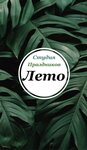 Studiya Leto (Lenina Avenue No:74), çocuk ve gençlik merkezleri  Surgut'tan