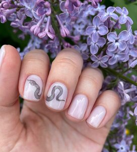Ab Beauty Studio (Privolnaya Street No:65/32, Moscow), güzellik salonu  Moskova'dan