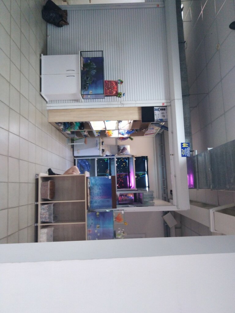 Akvaryumlar Ваш Аквариум, Novosibirsk, foto