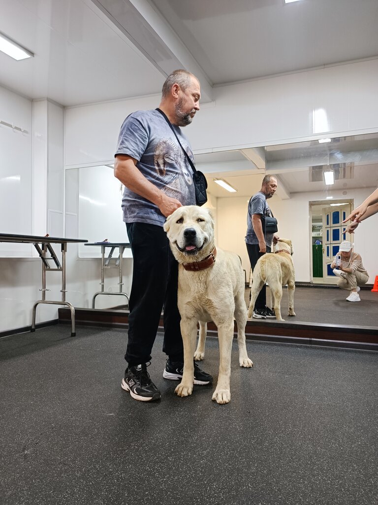 Hayvanat bahçesi merkezi Kinologichesky tsentr, Jukovski, foto