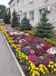 Дистанция пути (ulitsa Krasnykh Orlov No:87), demiryolları yönetimi ve bakımı   Kamyşlov'dan