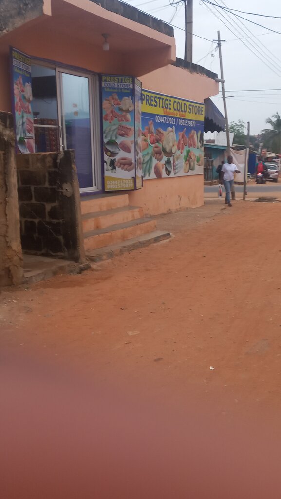Dondurulmuş gıda firmaları Prestige Cold Store, Akra, foto