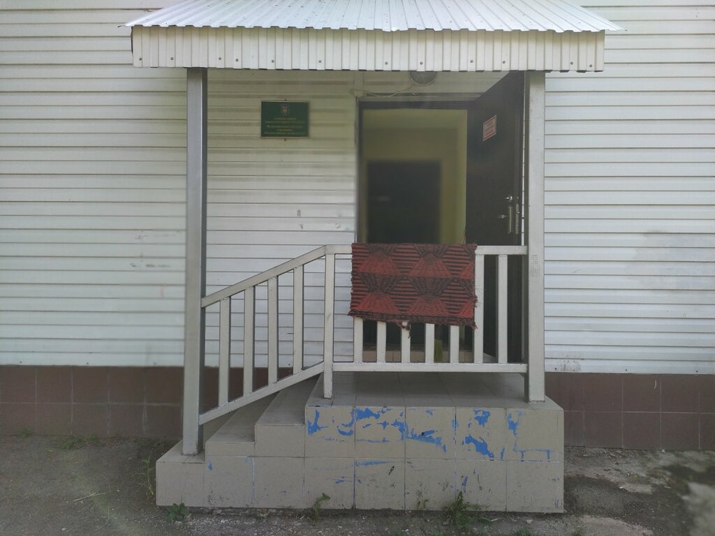 Orman işleri Тольяттинское Лесничество, Tolyatti (Togliatti), foto