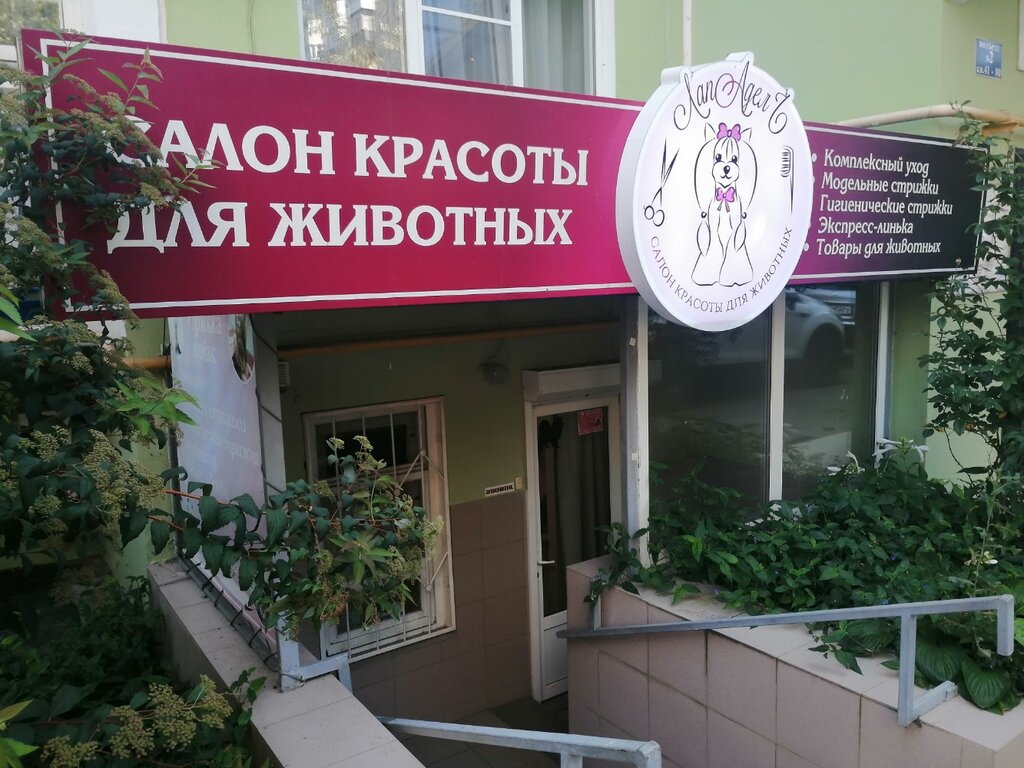 Evcil hayvan kuaförleri Salon dlya sobak i koshek Lapadel, Krasnodar, foto