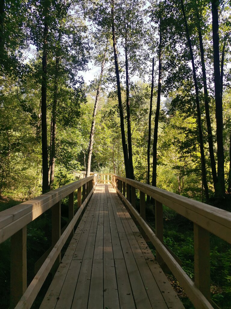 Doğa koruma alanı Федеральное государственное учреждение Национальный парк Бузулукский Бор, Orenburgskaya oblastı, foto