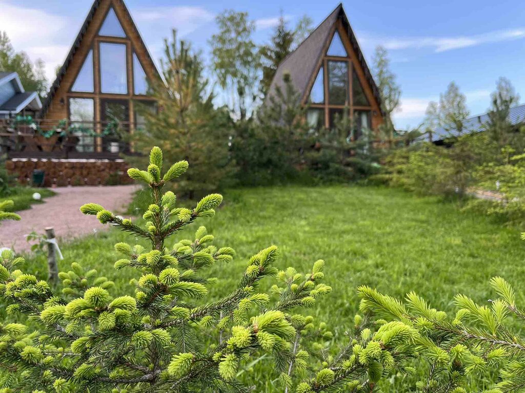Konuk evi Paradise in a hut, Saint‑Petersburg ve Leningradskaya oblastı, foto