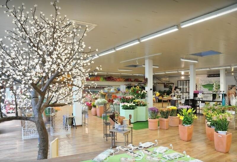 Tarım makineleri, ekipmanlar Florgarden, Sassari, foto