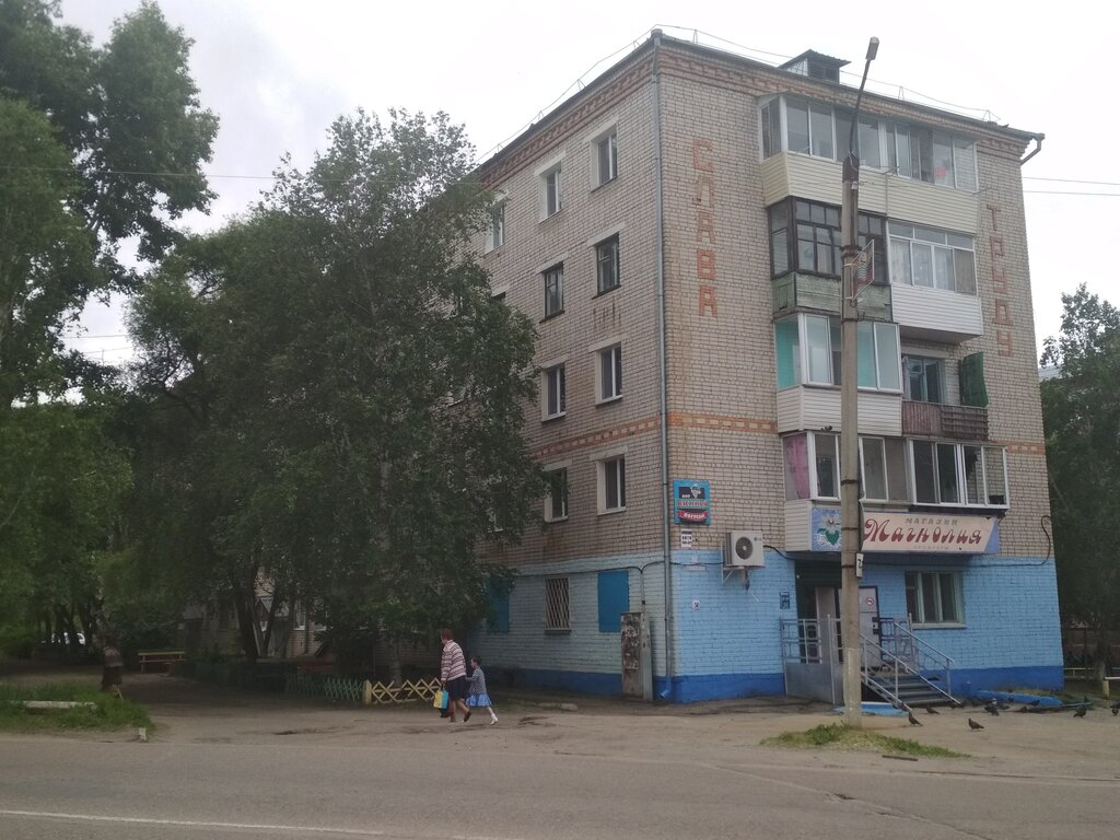 Market Магнолия, Raychihinsk, foto