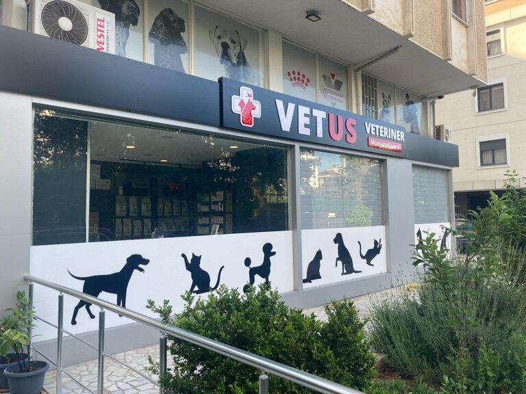 Veteriner klinikleri Vetus Veteriner Kliniği, İstanbul, foto