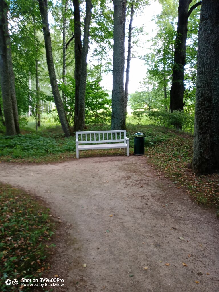 Turistik yerler Парнас, Pskovskaya oblastı, foto