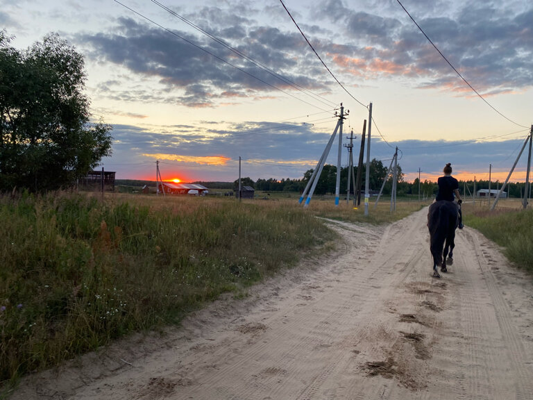 At ve binicilik kulüpleri Конный клуб, Moskova ve Moskovskaya oblastı, foto