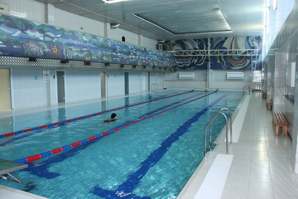 Yüzme havuzları Бассейн завода ЖБИ, Moskova, foto