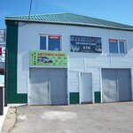 Автосервис (Novobureyskaya ulitsa No:3, selo Nikolayevka), otomobil servisi  Amursk Bölgesi'nden