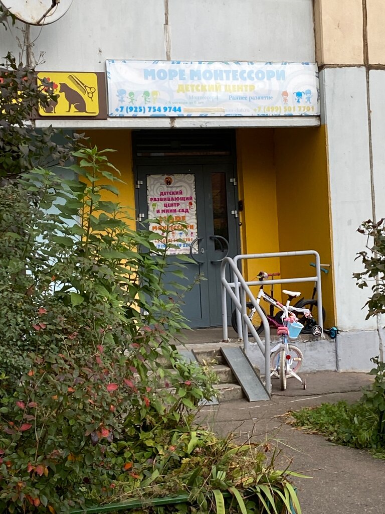 Anaokulları More Montessori, Krasnogorsk, foto