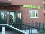Avokado (Sadovaya ulitsa No:19, Urban-type Settlement of Putilkovo), market  Moskova ve Moskovskaya oblastından