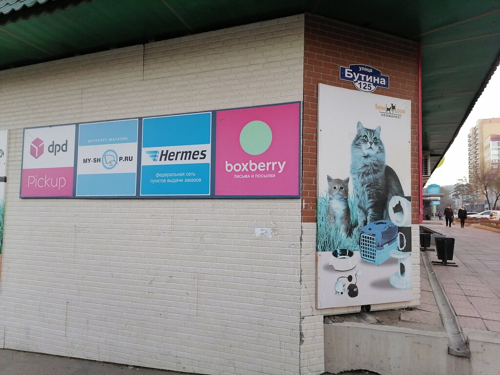 Petshop Vernyye druzya, Çita, foto