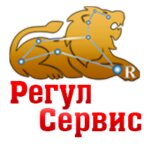 Regul (Pulkovskaya Street No:11к1), ruhsat hizmetleri  Saint‑Petersburg'dan