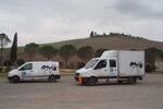 Cdl (Tuscany, Livorno, Via Gian Battista Guarini), haşere ilaçlama firmaları  Livorno'dan
