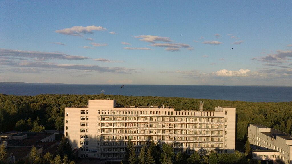 Termal otel Sanatorium named after V. I. Lenin, Ulyanovskaya oblastı, foto