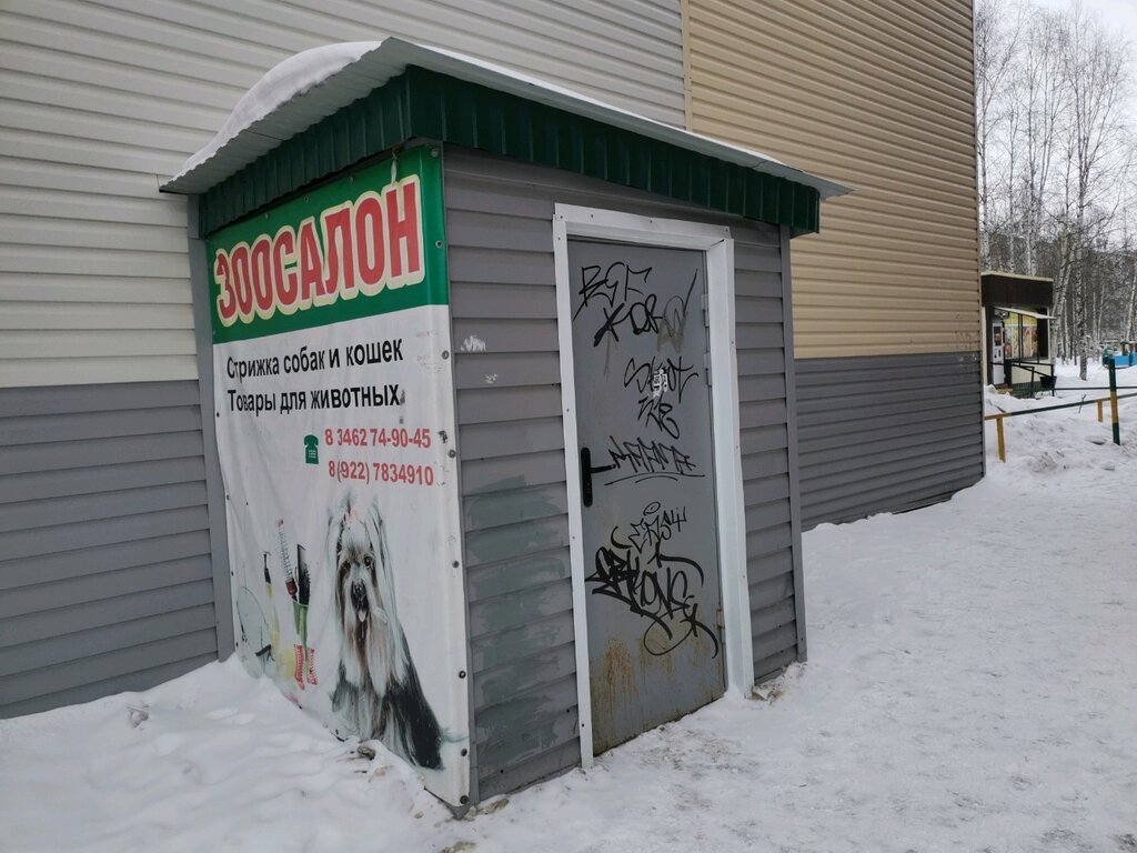 Evcil hayvan kuaförleri Chetyre Lapy Barber shop for animals, Surgut, foto