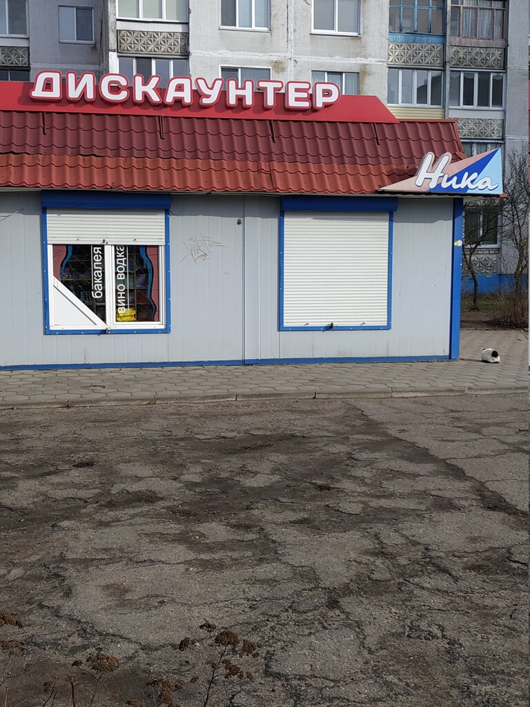 Alkollü içecekler Nika magazin Triosavir, Bobruisk, foto