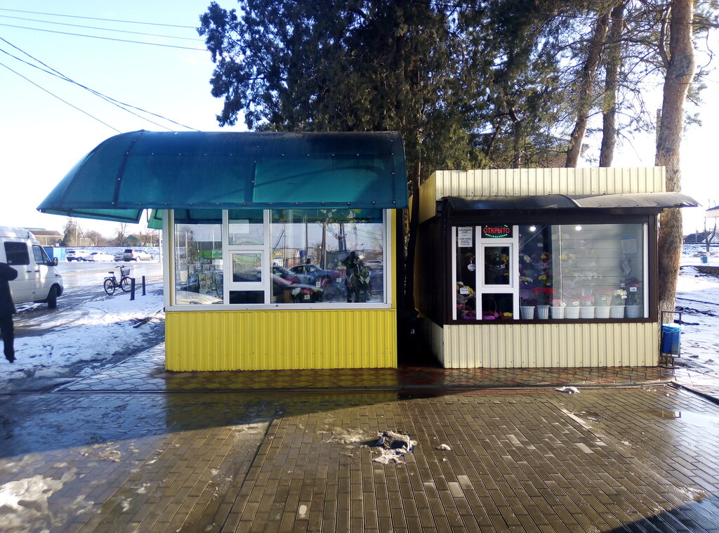 Çiçekçiler Цветочный блюз, Salsk, foto