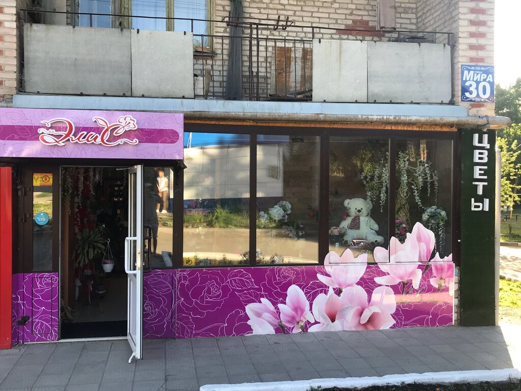 Çiçekçiler Элис, Çebarkul, foto