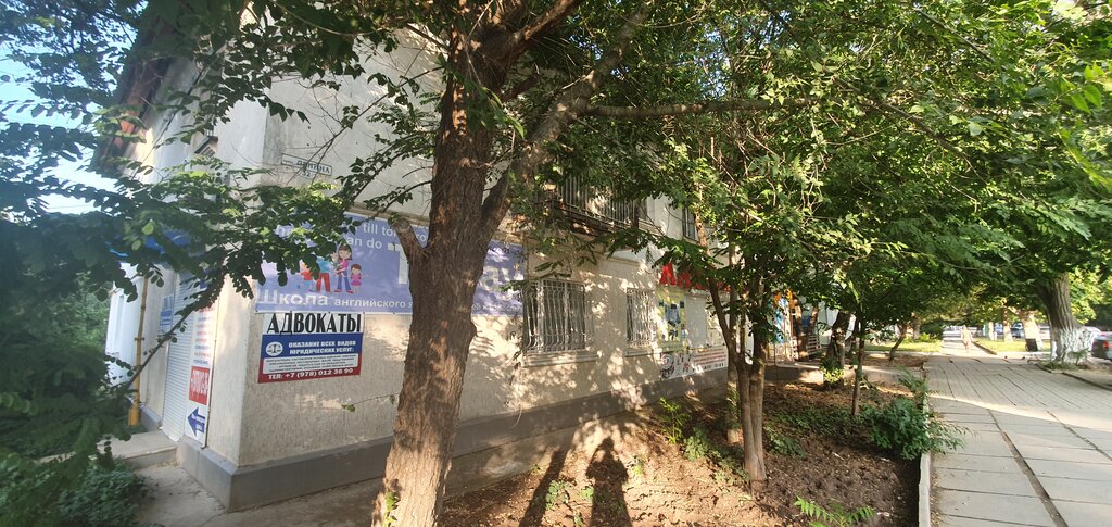 Avukatlar Адвокаты, Saki (Sak), foto