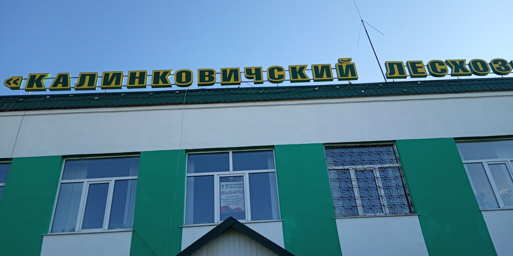 Orman işleri Kalinkovichsky leskhoz GLKhU, Kalinoviçi, foto