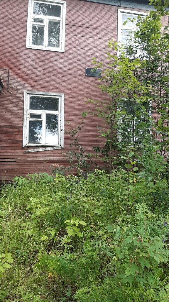 Anıt levhası, anıt taş В.Г. Выжлецову, Arhangelskaya oblastı, foto
