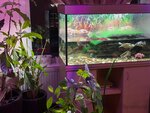 TerraWorld (MKAD, 14th kilometre No:23, Moscow), akvaryumlar  Moskova'dan